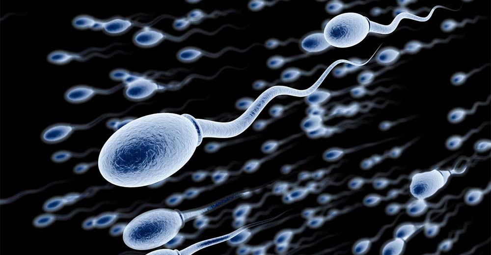 Liquido seminale. Da 0 a 100 tutto ciò che devi sapere!