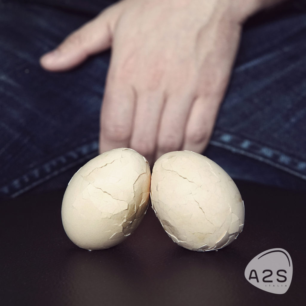 Testicoli. I 2 amici della fertilità maschile da conoscere